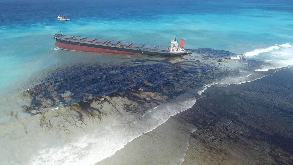 3 Harmful Effects Of Oil Spill Education Dazzle 3 Harmful Effects Of Oil Spill Education Dazzle